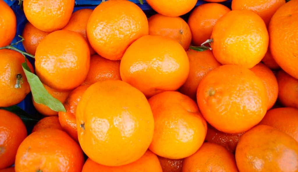 Las Mejores Variedades De Naranjas Para Tu Paladar